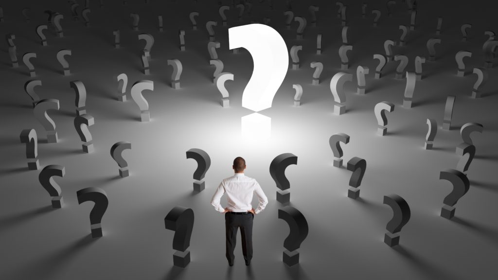 Marcellus The Most Important Questions To Ask Your Fund Manager